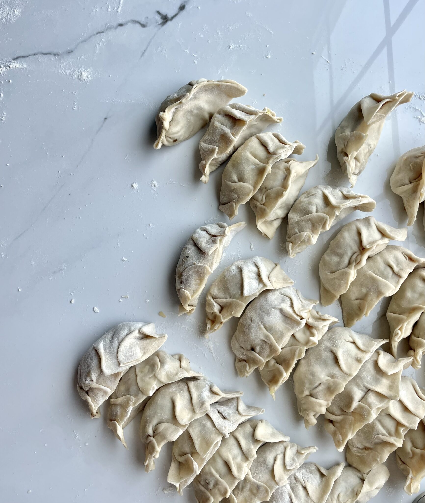 How to Make Authentic Pork Gyoza (Japanese Pan-Fried Dumplings) - Kyrié ...