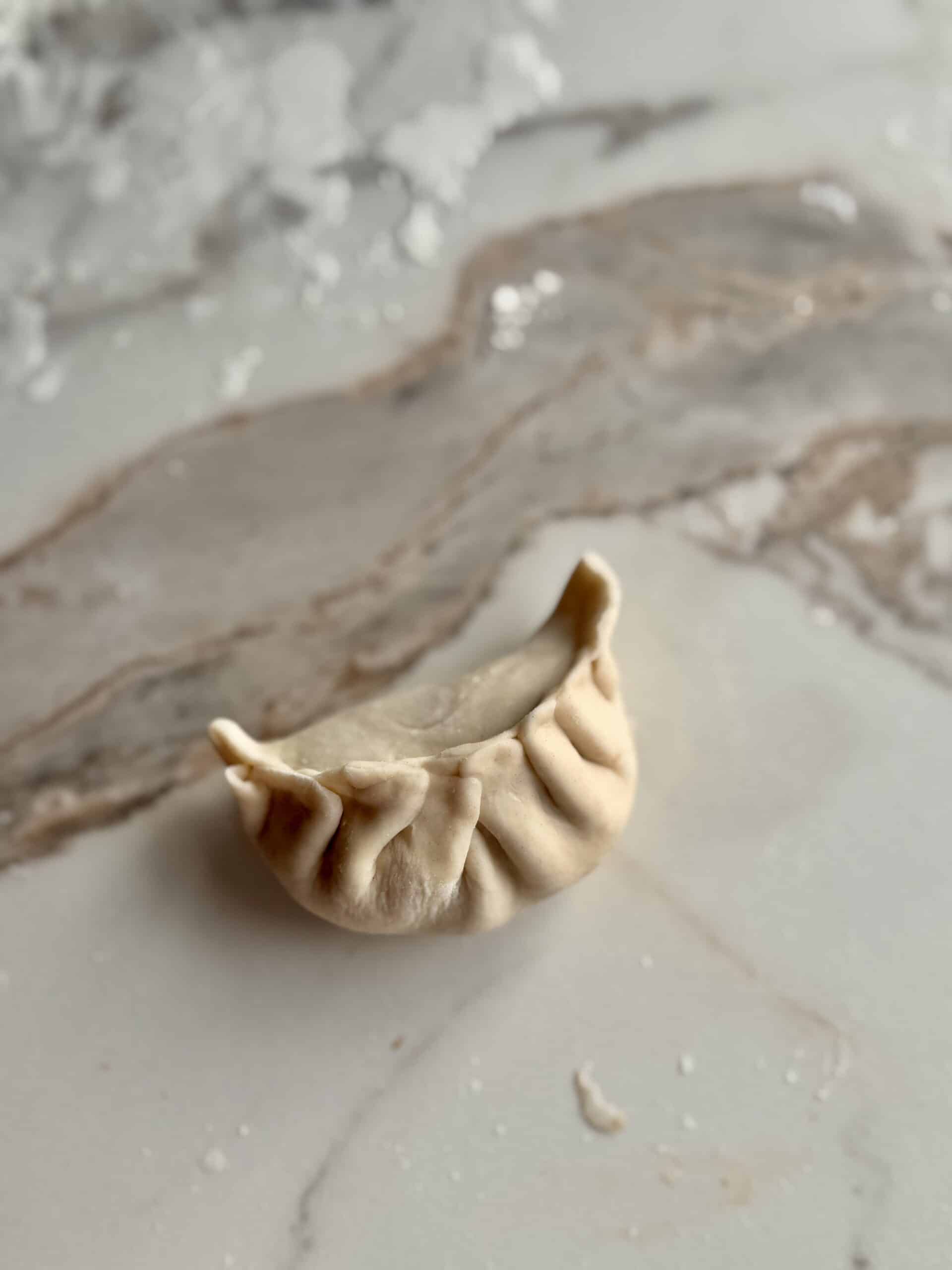 Pork Gyoza (Japanese Pan-Fried Dumplings) - Kyrié the Foodié + Real ...